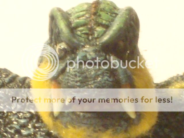 David Allen's "Taurus" from EQUINOX